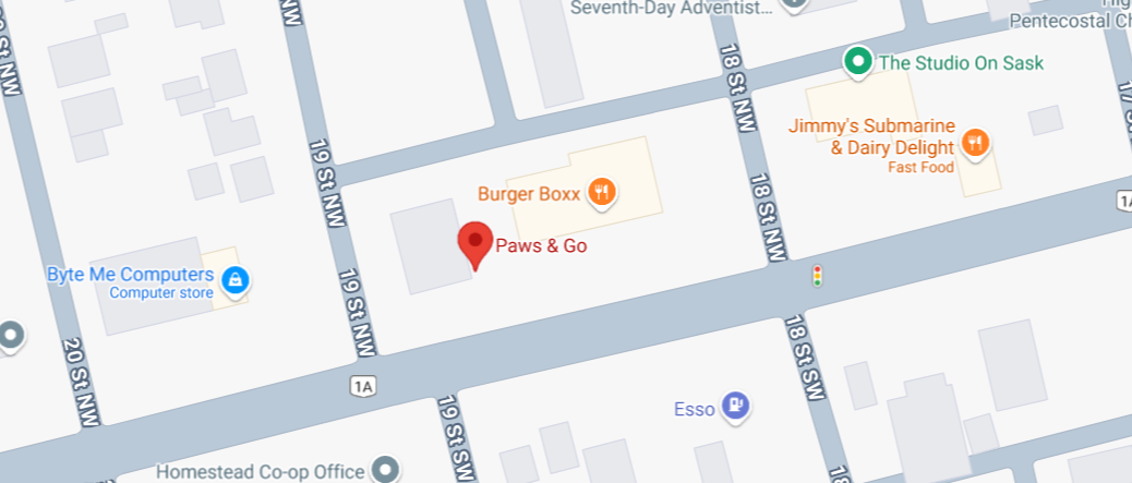 Paws & Go – Paws & Go